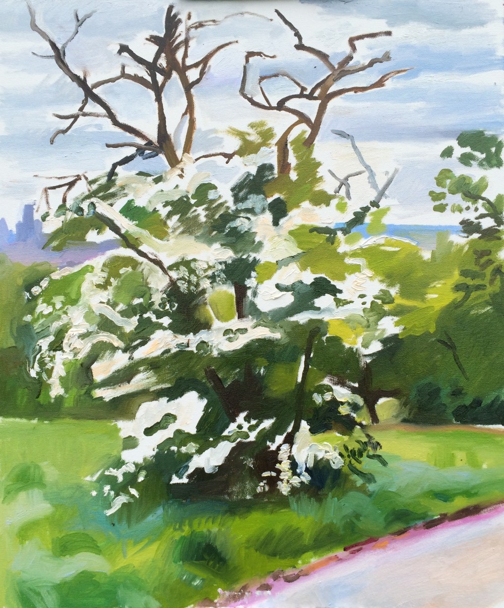 Hawthorn | Paul Wuensche - Paintings and Drawings
